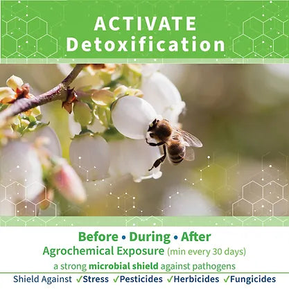 SuperDFM®+P801™ – Let It Bee Inc