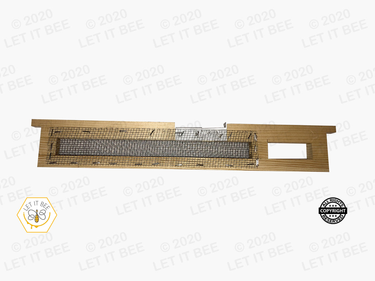 Queen Introduction Frame – Let It Bee Inc